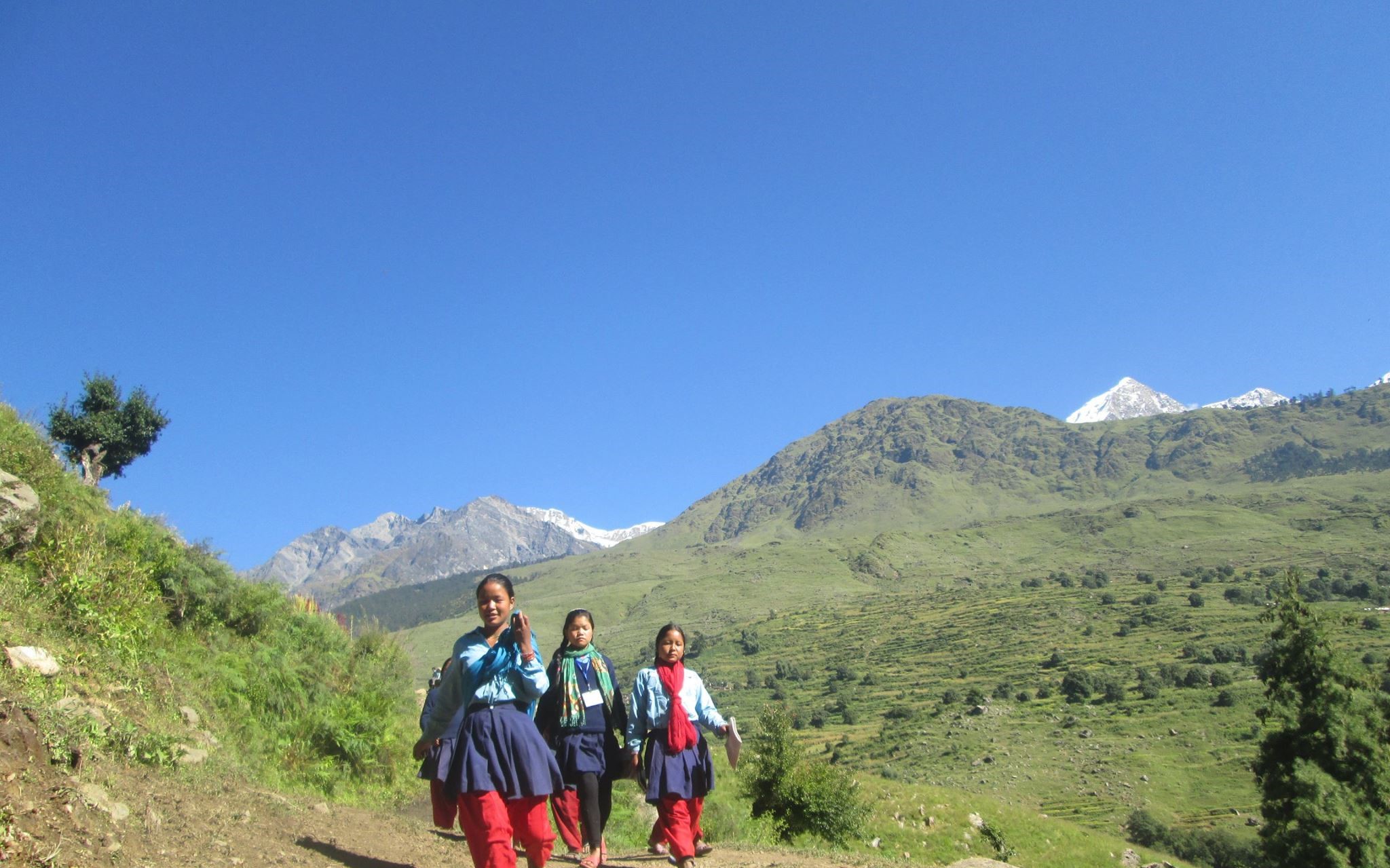 Baikalpic Sikshya Tatha Bikas Pratisthan (BSBP) – BSBP was founded by a ...